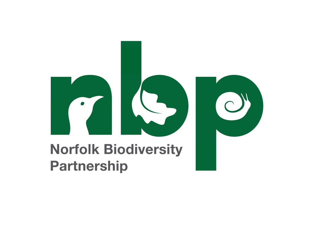 Norfolk Community Biodiversity Awards & Fair // The Forum Norwich