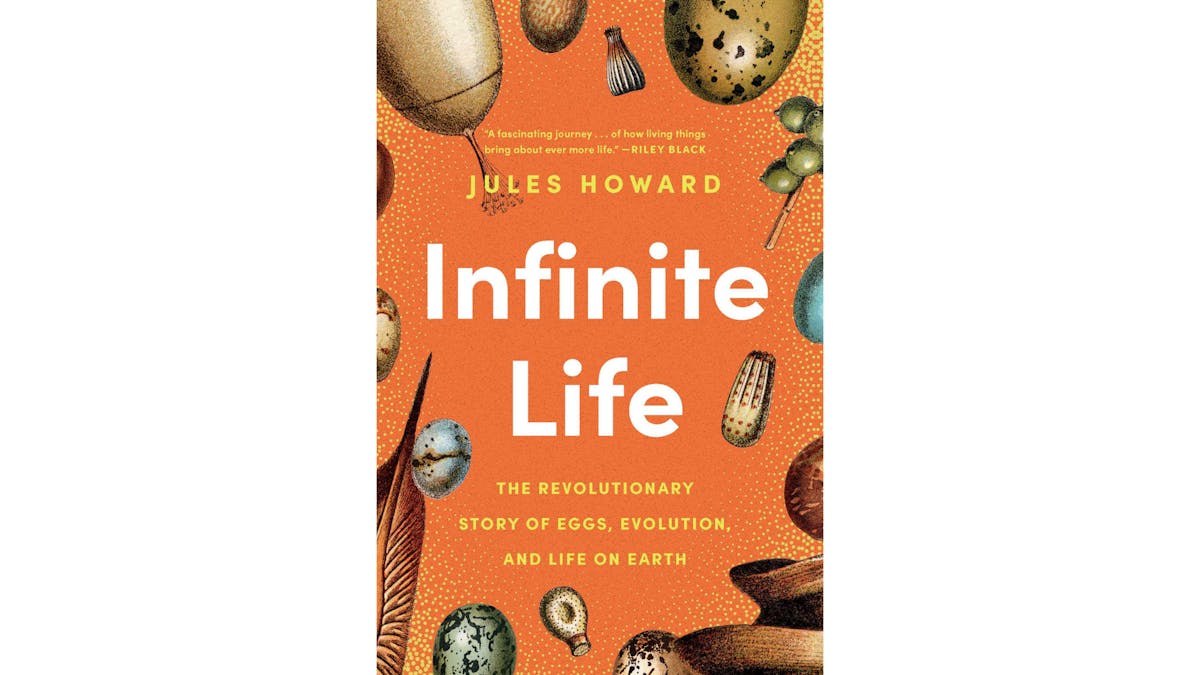 Infinite Life: Eggs and the Evolution of Life on Earth | Norwich ...