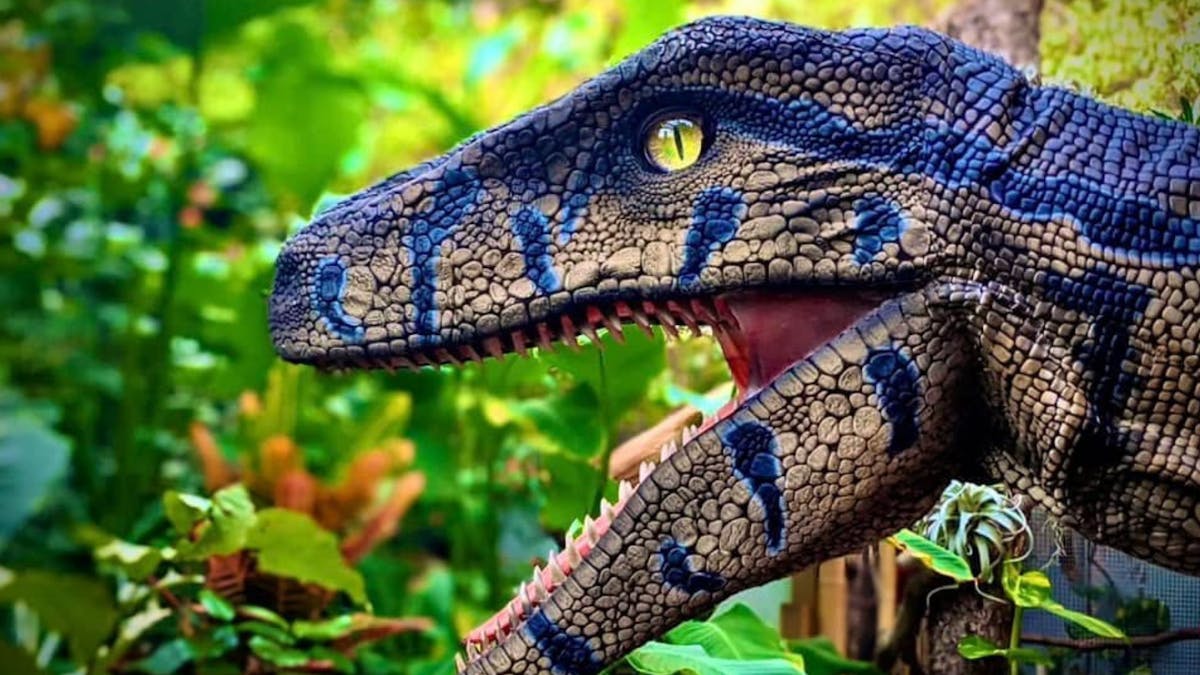 Dino Duel: A Prehistoric Face-Off | Norwich Science Festival
